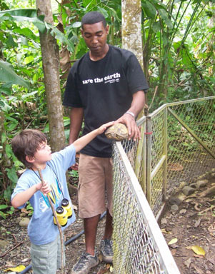 Bring Out the Teacher in Your Students | Thoughtful Learning